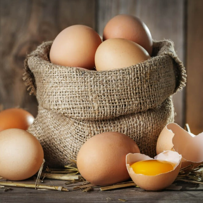 Pastured Eggs, Free Range & Ethical. Low Stocking Density. – Online ... Pastured Eggs, Free Range & Ethical. Low Stocking Density. – Online ...
