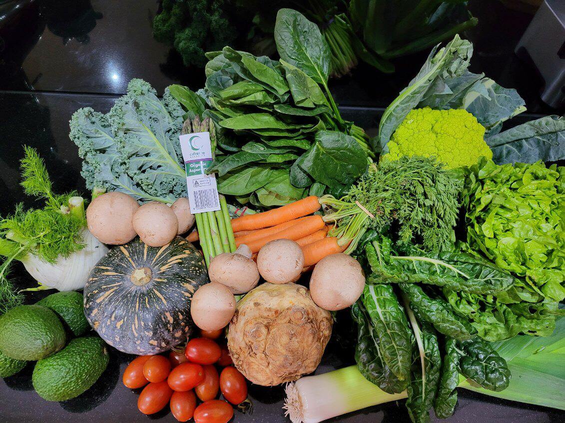 Organic Veg Only Box – Tagged "Veggie Only Box"– Online Farmers Market