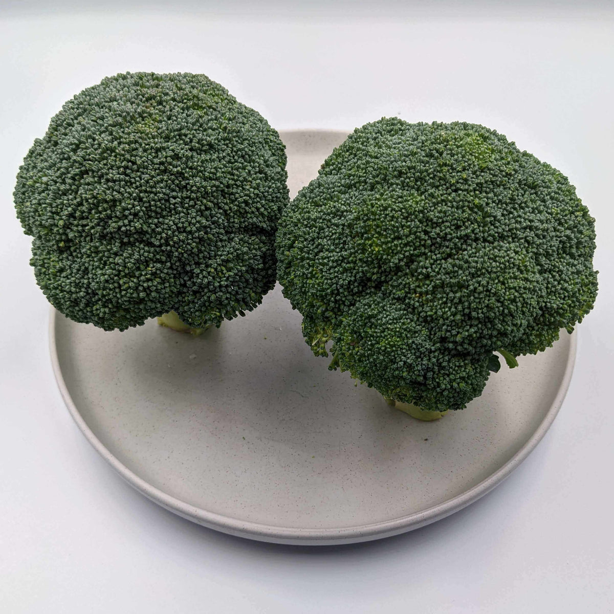 Organic Broccoli 500g – Online Farmers Market