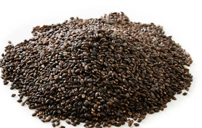 Black Barley – Online Farmers Market